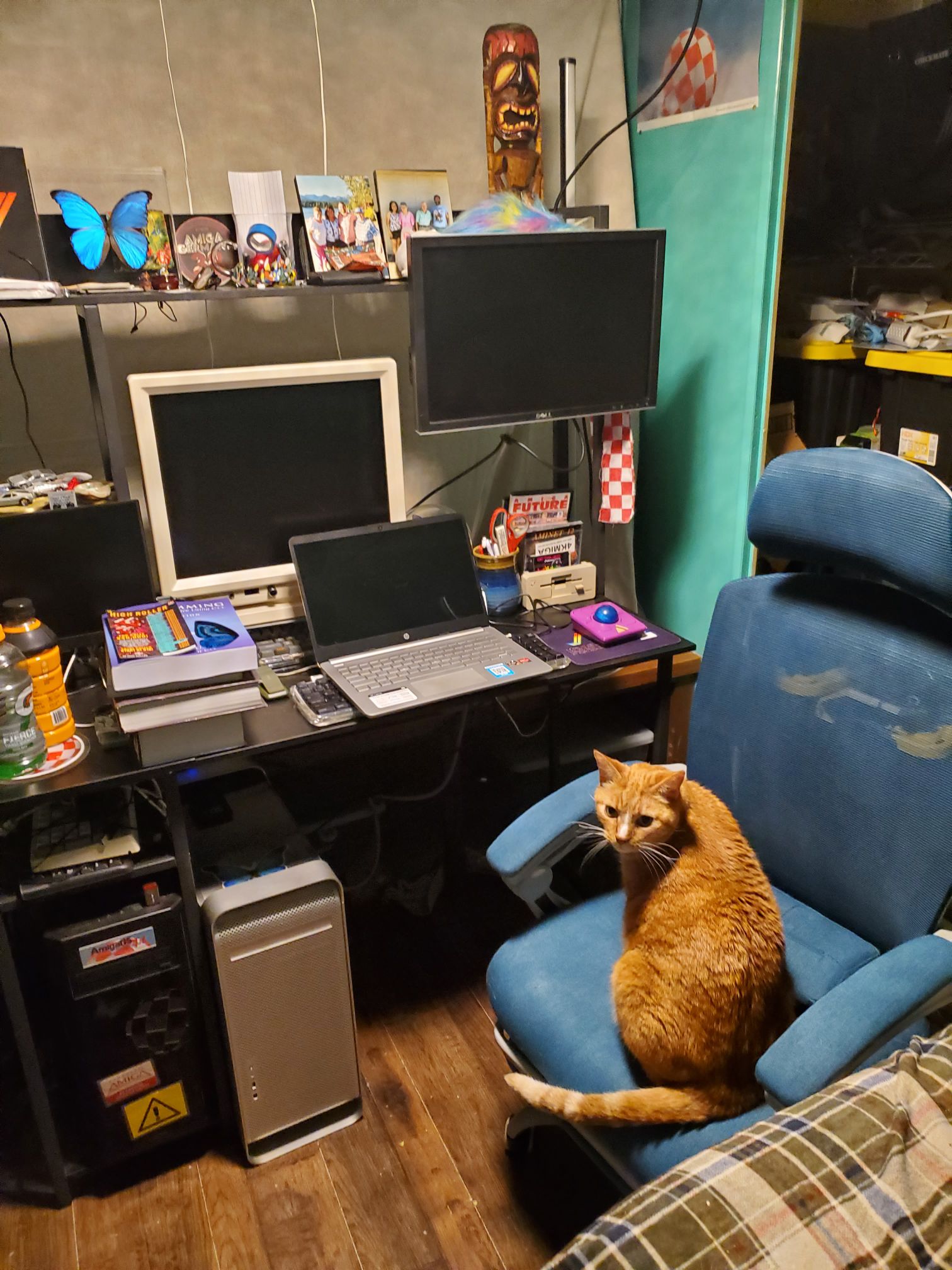 Our Staff at Cat House Studio – Cat House Studio